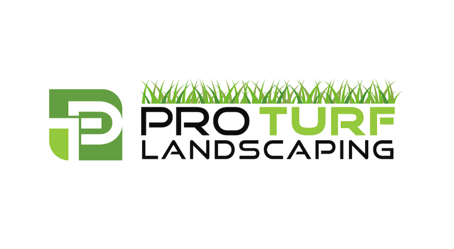 PRO TURF INTERNATIONAL PURCHASES SUCCESSFUL LANDSCAPING COMPANY IN LAS ...