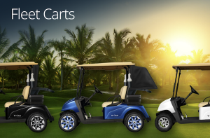 VANTAGE TAG SYSTEMS TO GIVE AWAY 2 NEW FULLY EQUIPPED V-CLUB CARTS AT ...