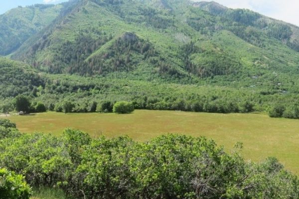 TROON TO ASSIST IN DEVELOPMENT AND MANAGEMENT OF NEW THREE BRIDGES ...