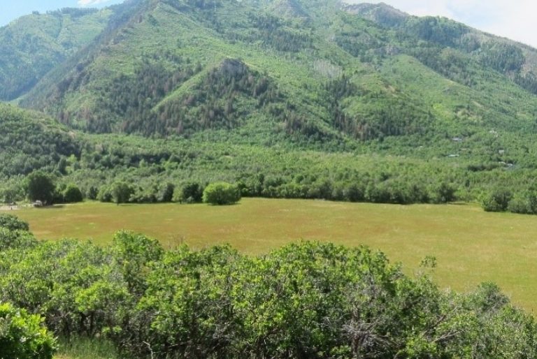 TROON TO ASSIST IN DEVELOPMENT AND MANAGEMENT OF NEW THREE BRIDGES ...